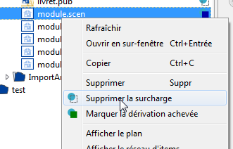 Supprimer la surcharge d'un item