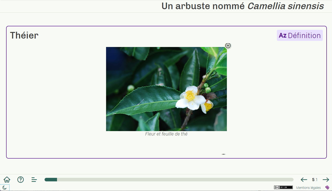 Daylight Skin for Opale