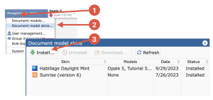 Install a skin [Install a skin]